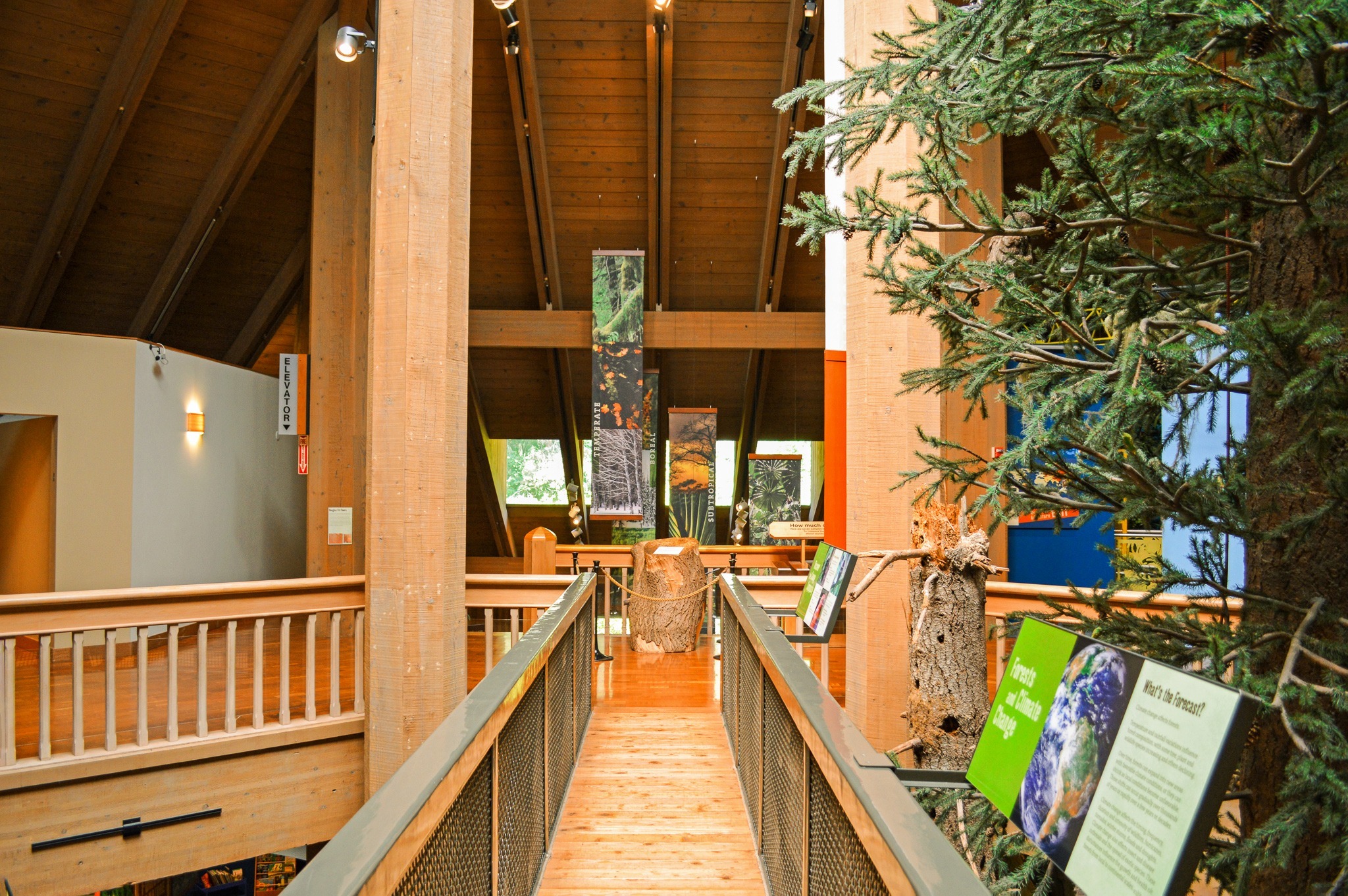 Discovery Museum - World Forestry Center