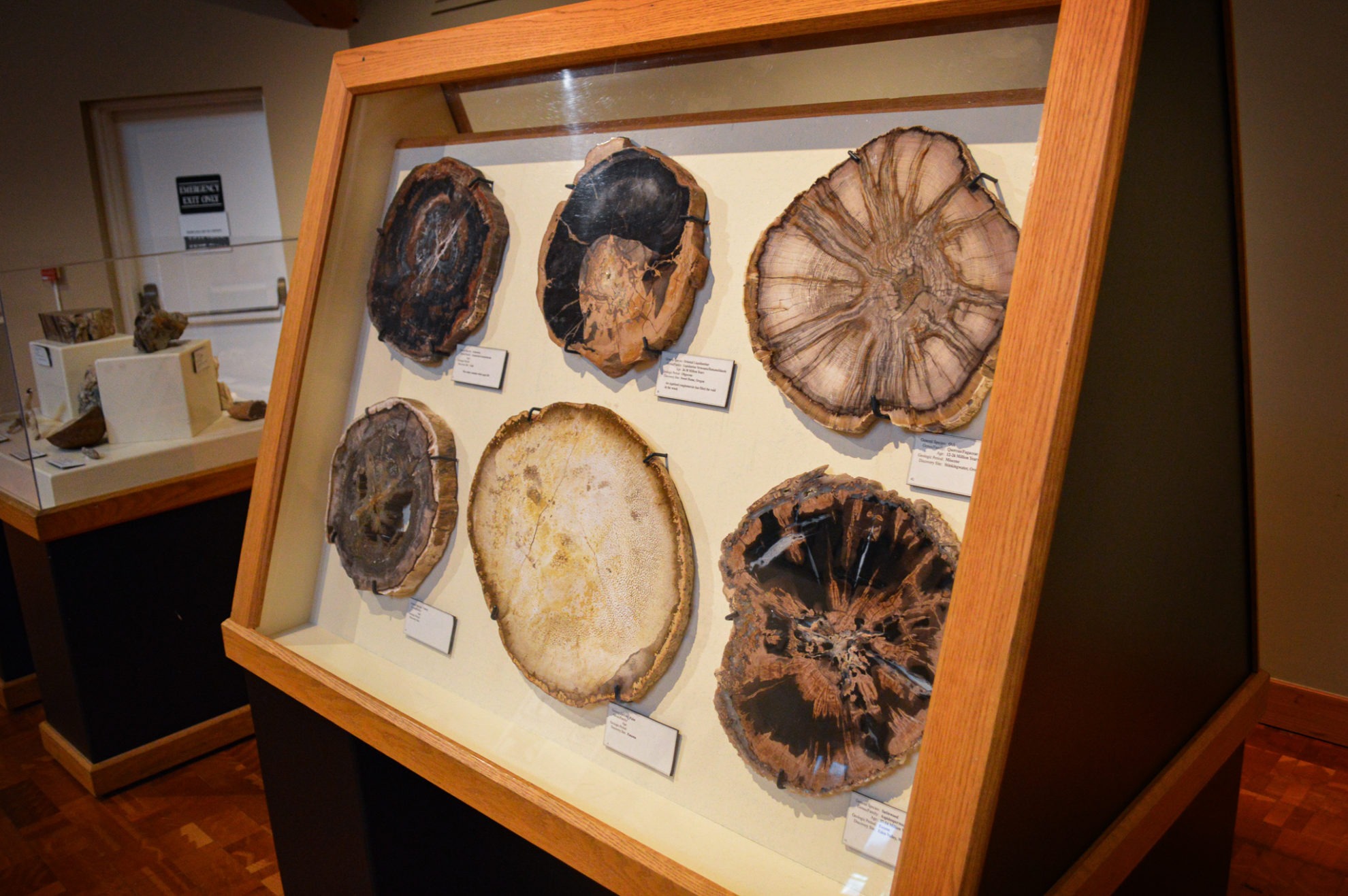 Our Museum - World Forestry Center