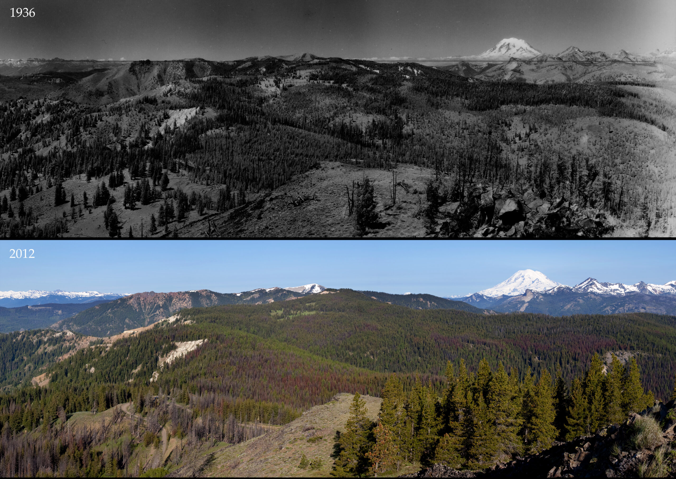 Bethel-Ridge-SW-Cropped-Comparison - World Forestry Center