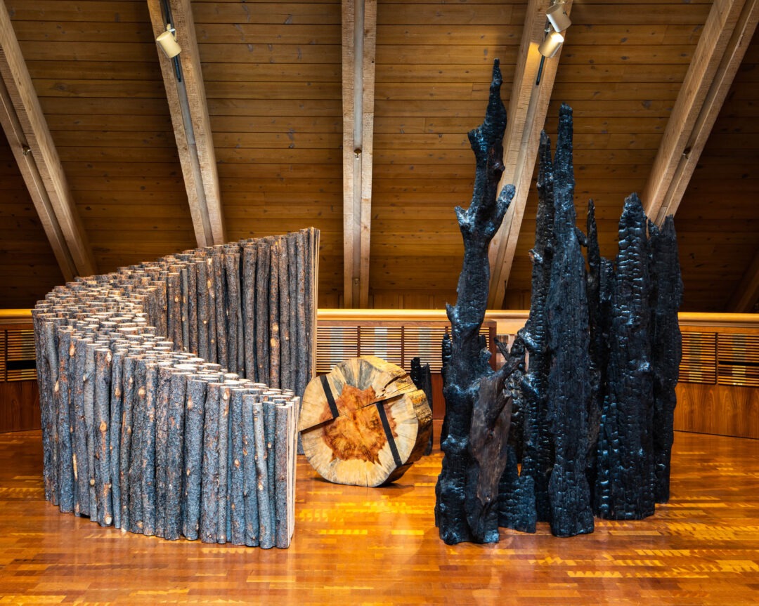 Our Museum - World Forestry Center