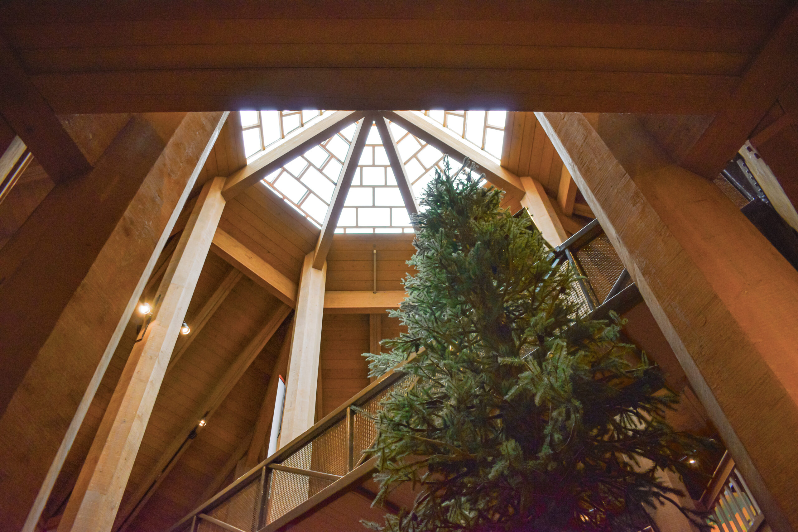 Our Team Continues to Expand - World Forestry Center